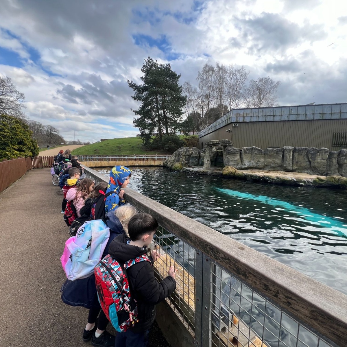 Southfields Primary School - Year 2 at Woburn Safari Park